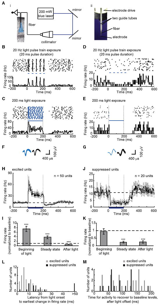 High-throughput mapping of a whole rhesus monkey brain at micrometer resolution - Desimone Lab